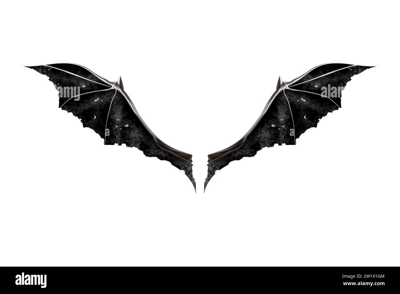 Dark wings hi-res stock photography and images - Alamy
