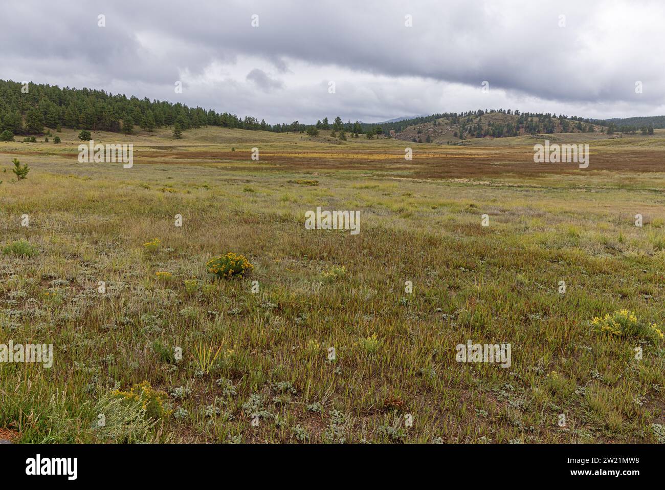 The hilly landscape around the Florissant Fossil Beds a protected ...