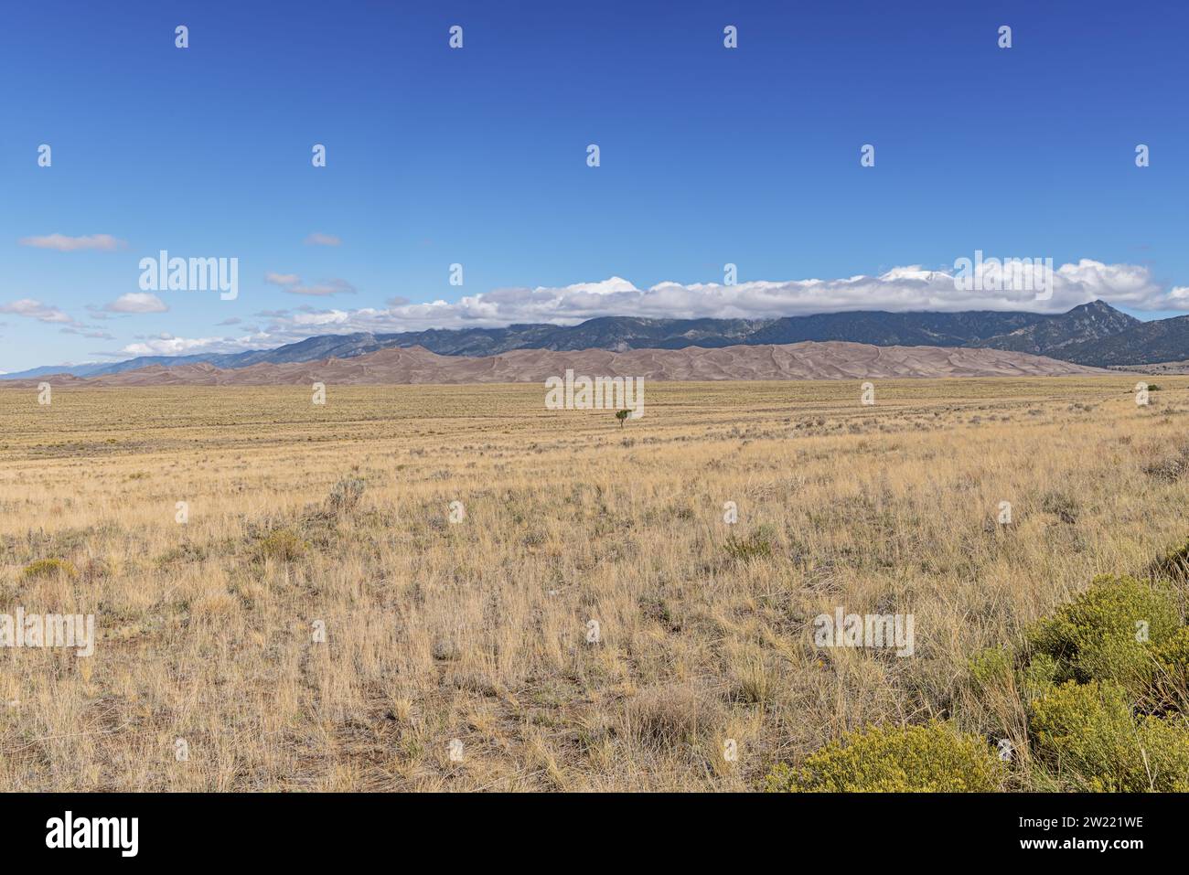 The arid area around the Great Sand Dunes seen from the access road ...