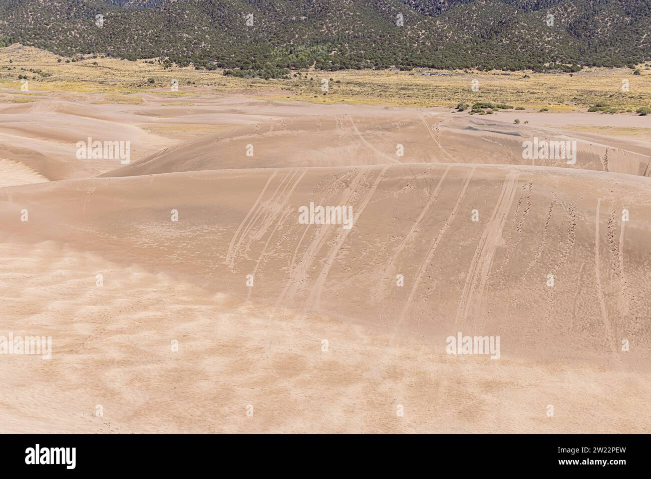 Marks of sand boarding near Medano Creek in the Great Sand Dunes ...