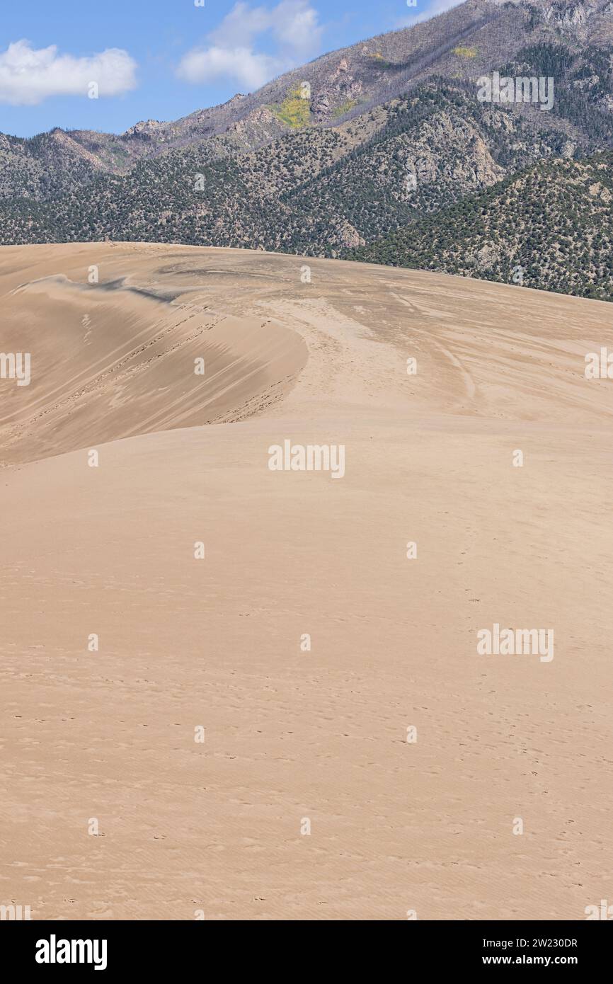 On the top of a high sand dune in the Great Sand Dunes National Park ...