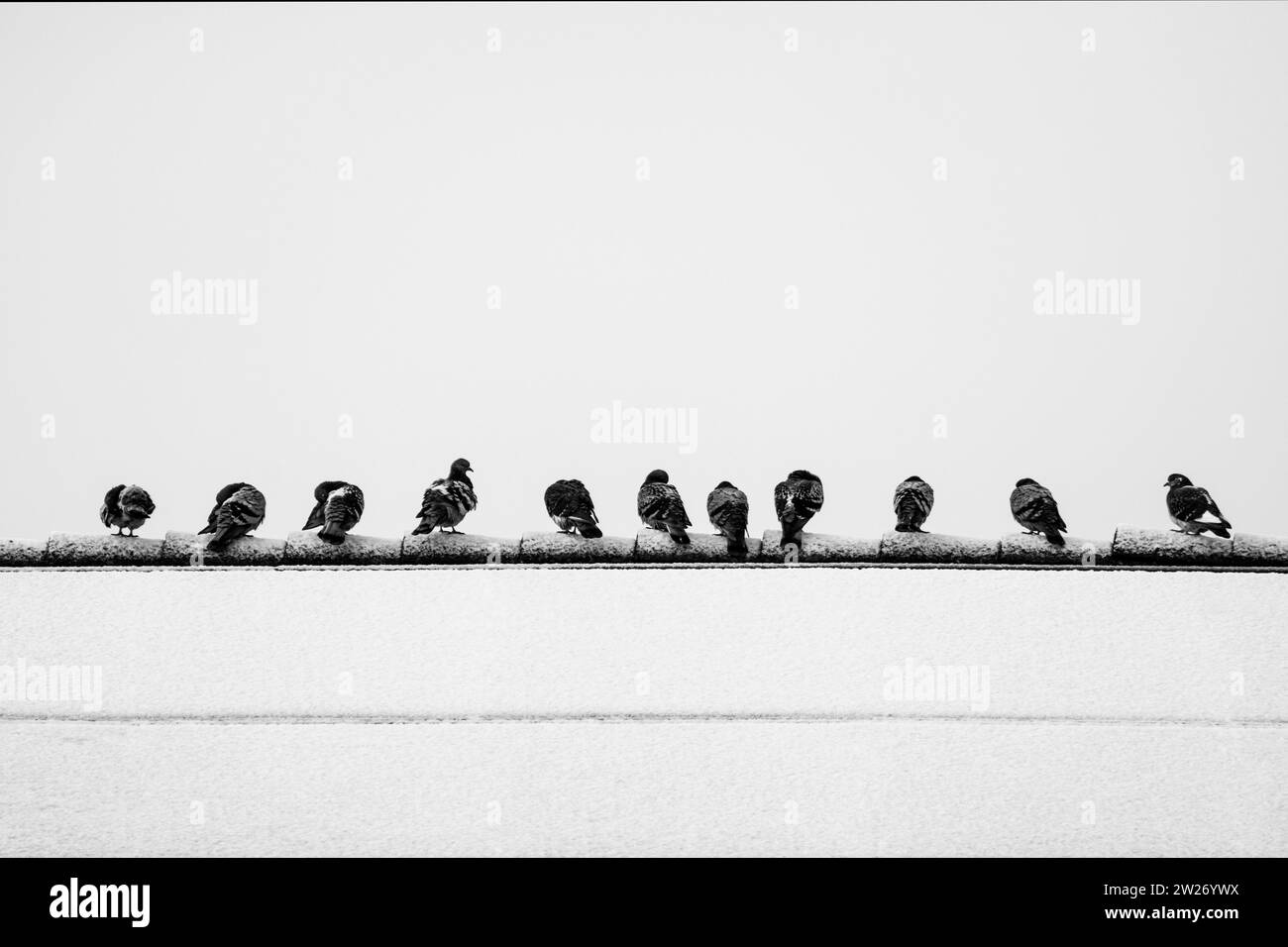 Black roof line hi-res stock photography and images - Alamy