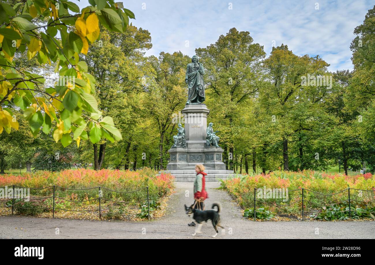 Denkmal Carl von Linné, Königlicher Garten Humlegarden, Karlaväge ...
