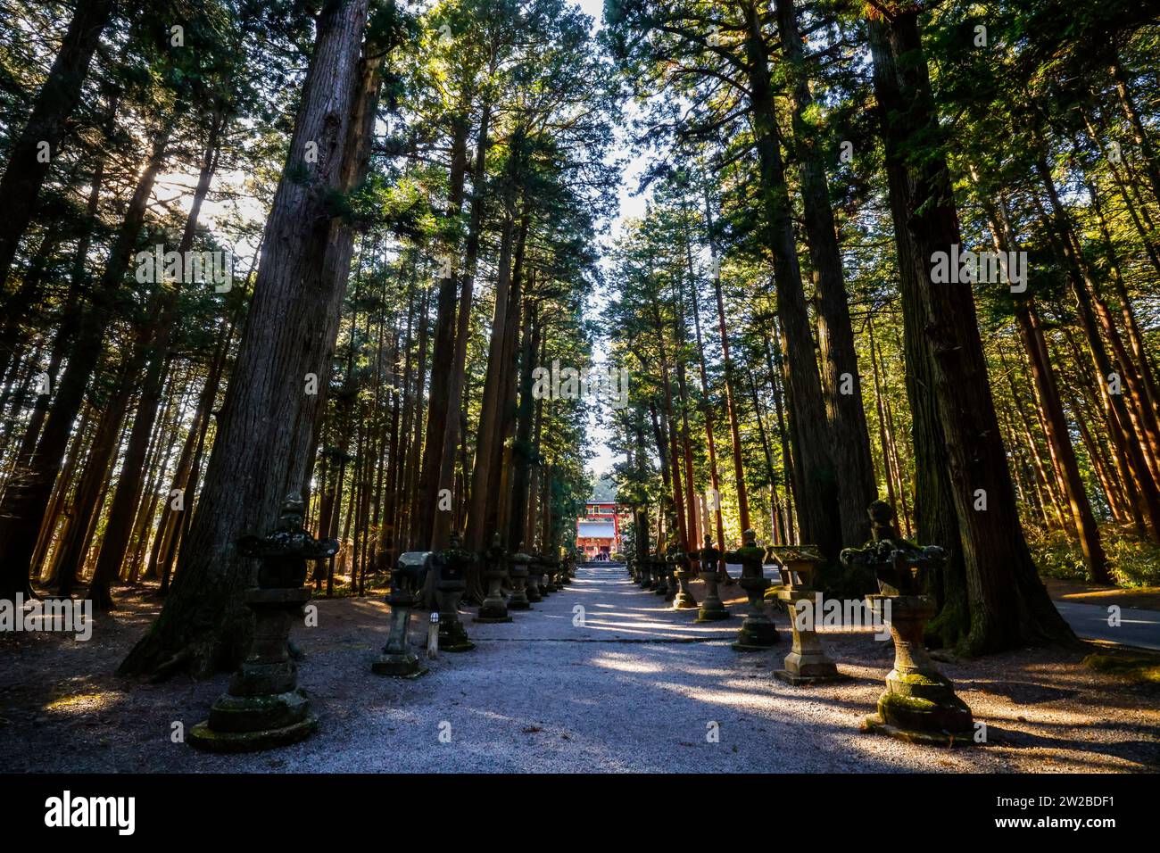KITAGUCHI HONGU FUJI SENGEN SHRINE JAPON Stock Photo - Alamy