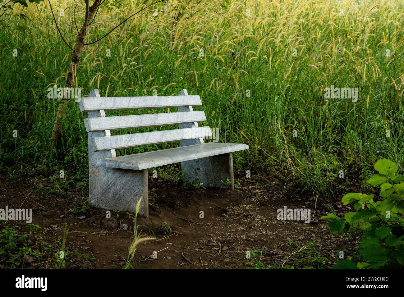 Mountain Park stone bench Stock Photo - Alamy