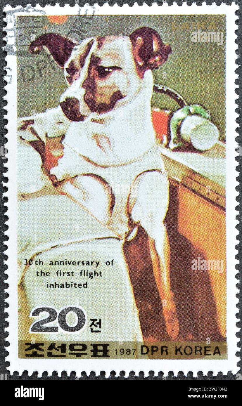 Postage stamp printed by North Korea that shows Space dog Laika, circa ...