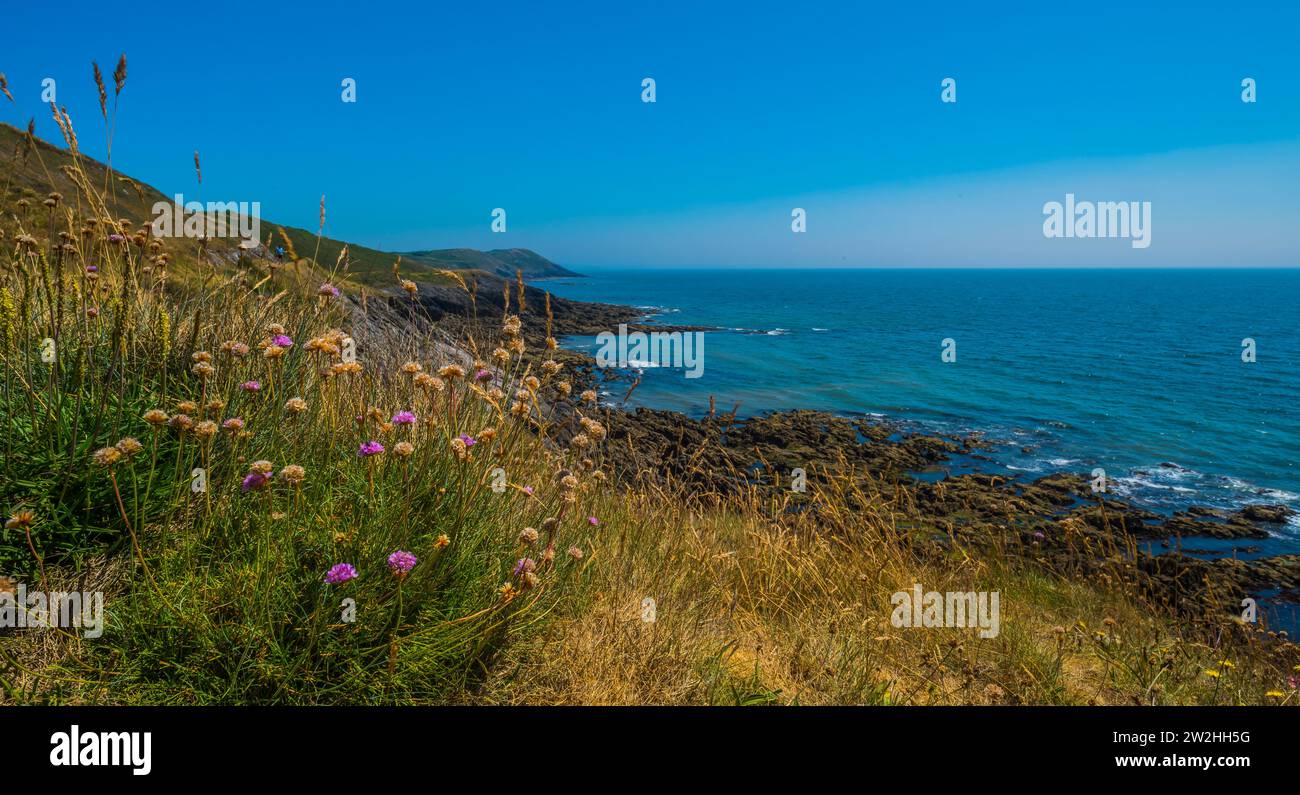 Landscape, Seascape, Gower, Wales, UK Stock Photo - Alamy
