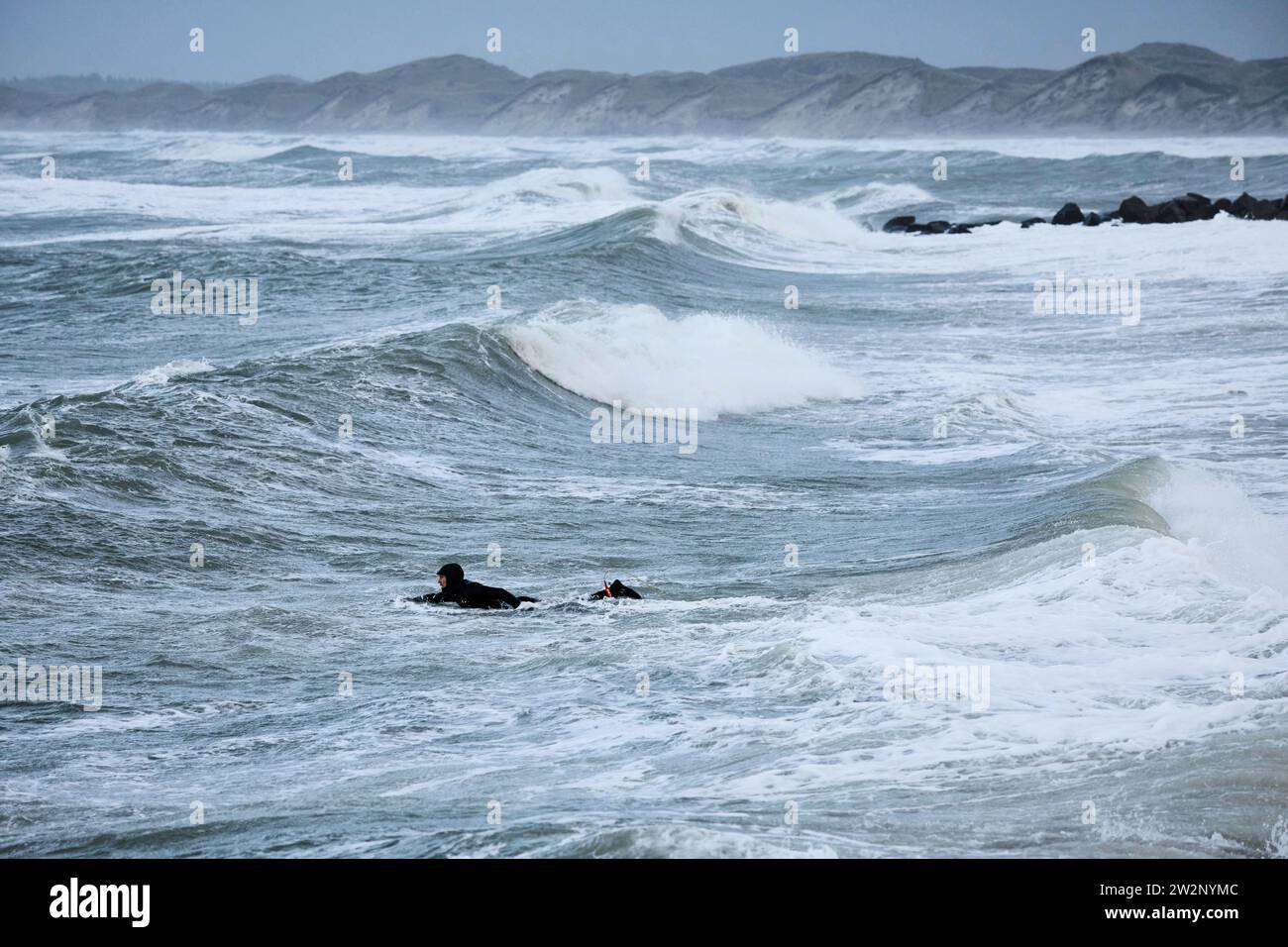 A man surf the waves at the west coast of Jutland near Vorupoer ...
