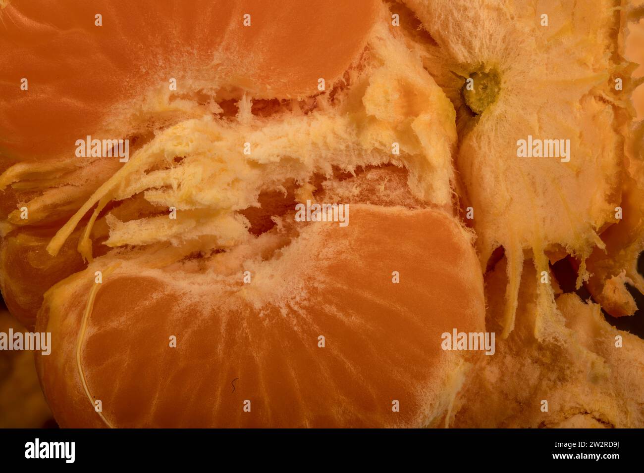 Close up food still life of bright and succulent looking Tangerine ...