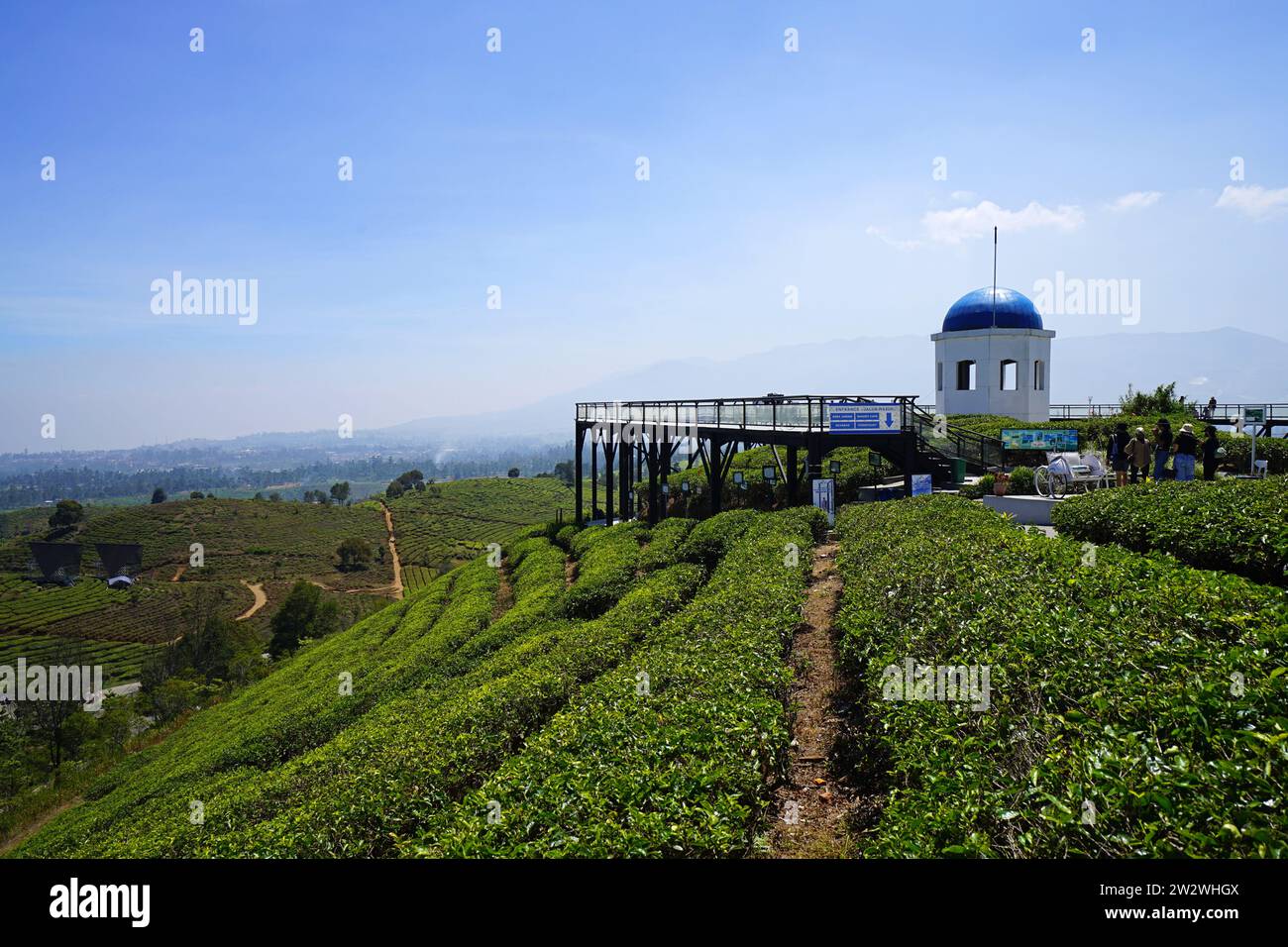 Nimo Highland Park at Tea Plantation Pengalengan Bandung, West Java ...