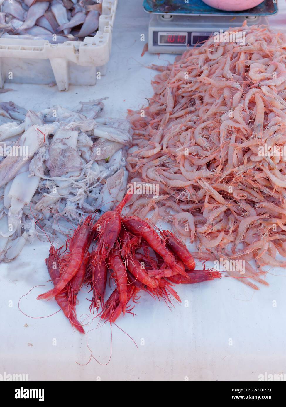 Red and white fish on display at the port in Essaouira "The Windy City ...