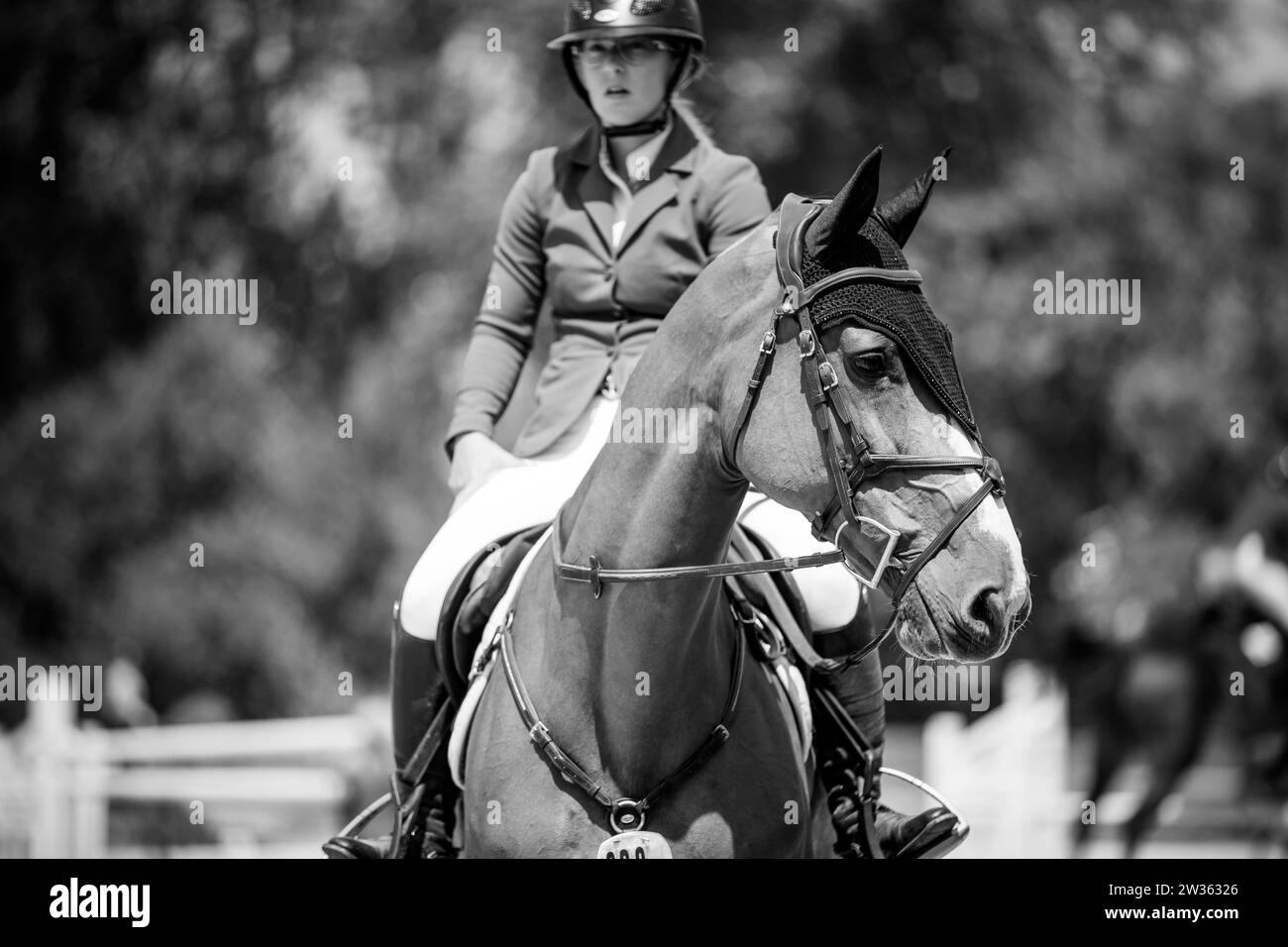 Jaydan Stettner of Canada competes at the 2023 Canadian Premier Horse ...