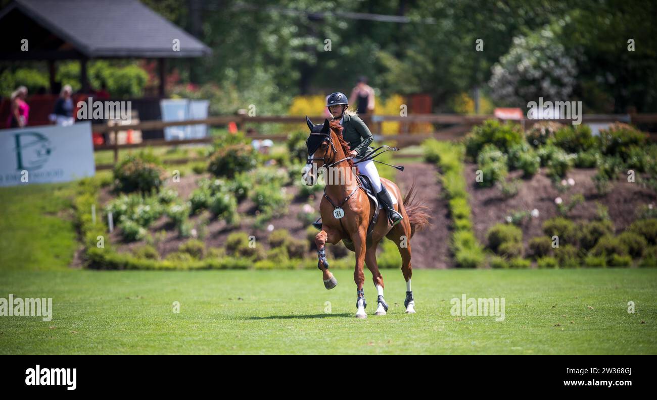 Jaydan Stettner of Canada competes at the 2023 Canadian Premier Horse ...