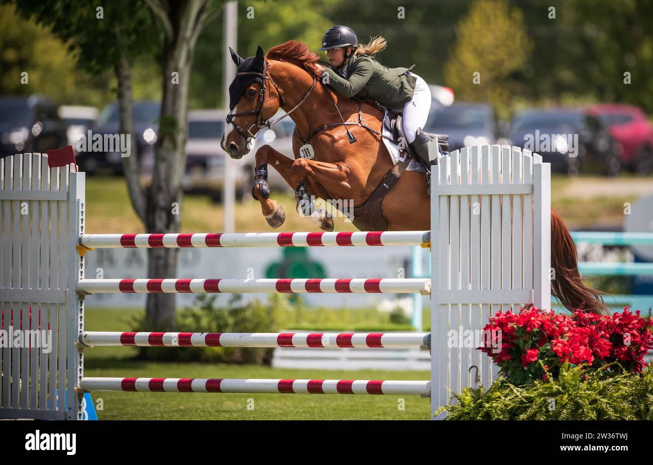 Jaydan Stettner of Canada competes at the 2023 Canadian Premier Horse ...