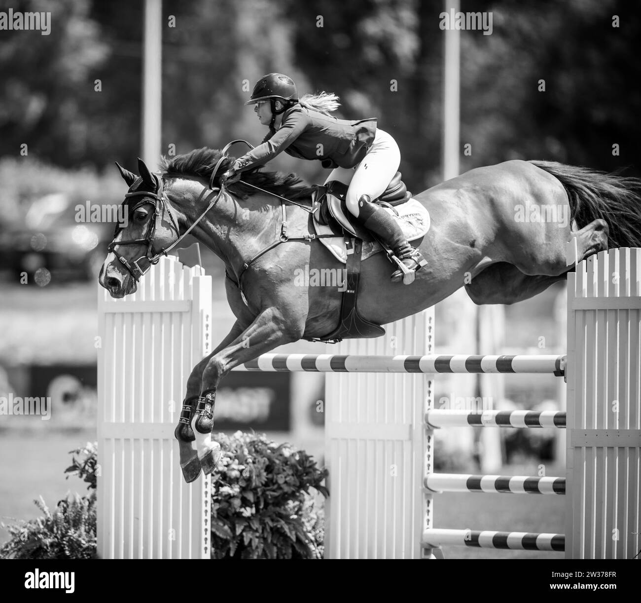 Jaydan Stettner of Canada competes at the 2023 Canadian Premier Horse ...