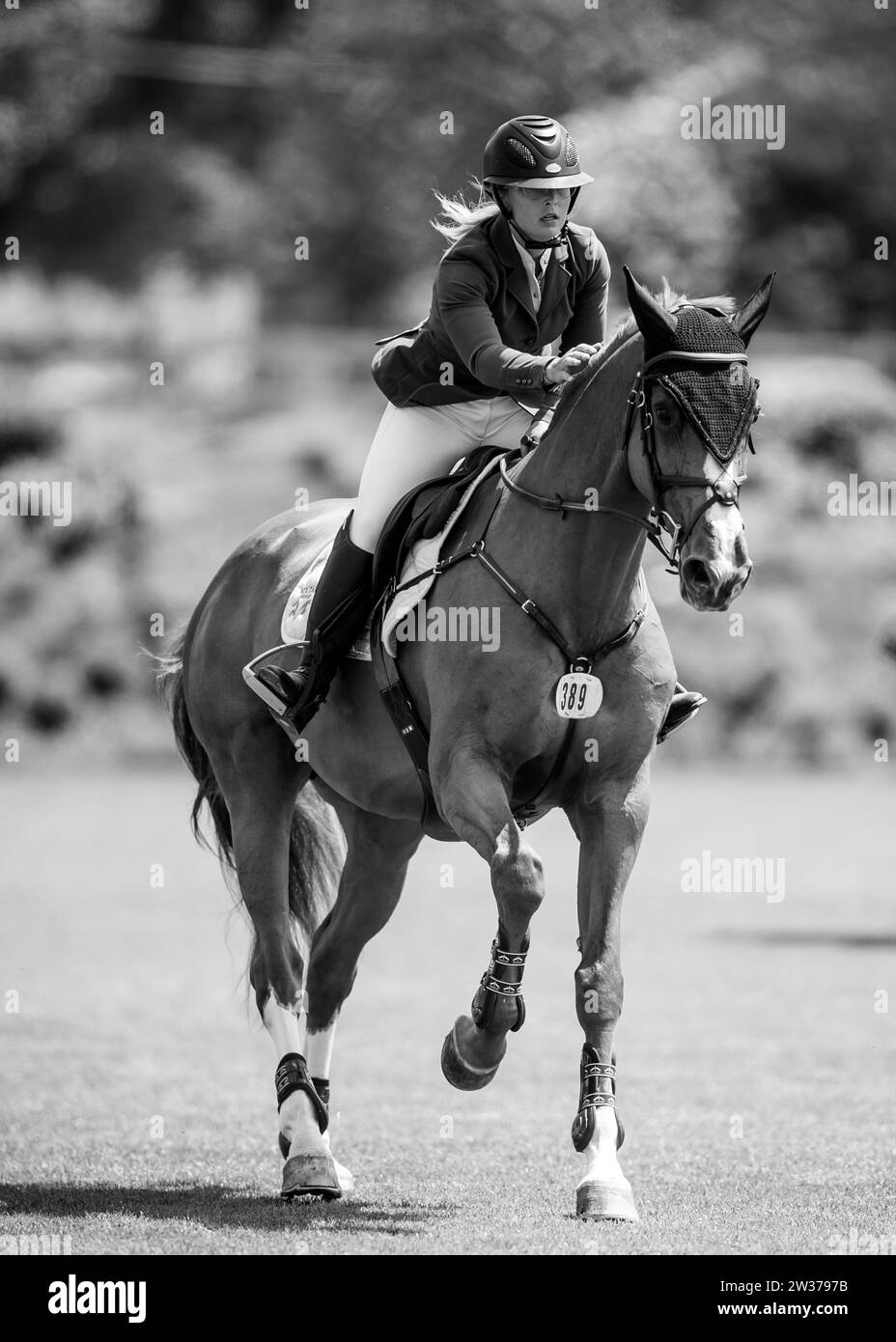 Jaydan Stettner of Canada competes at the 2023 Canadian Premier Horse ...