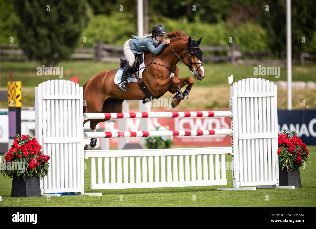 Jaydan Stettner of Canada competes at the 2023 Canadian Premier Horse ...