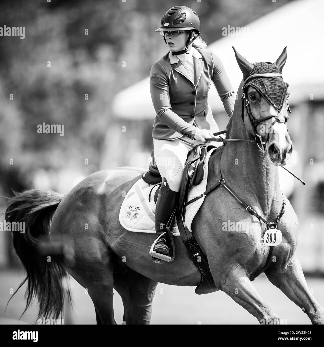 Jaydan Stettner of Canada competes at the 2023 Canadian Premier Horse ...