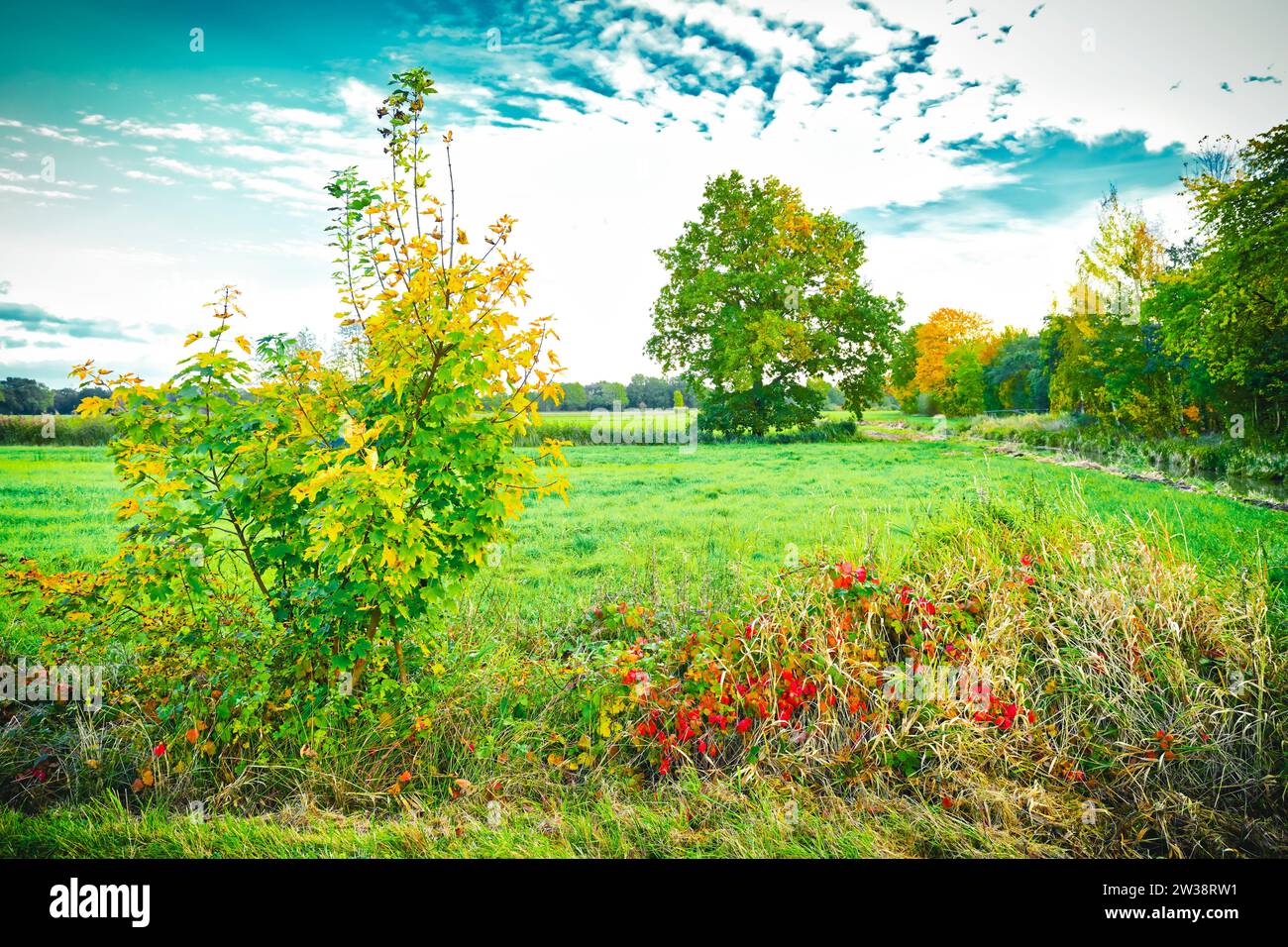 Herbstlandschaft im Naturschutzgebiet Kirchwerder Wiesen in Hamburg ...