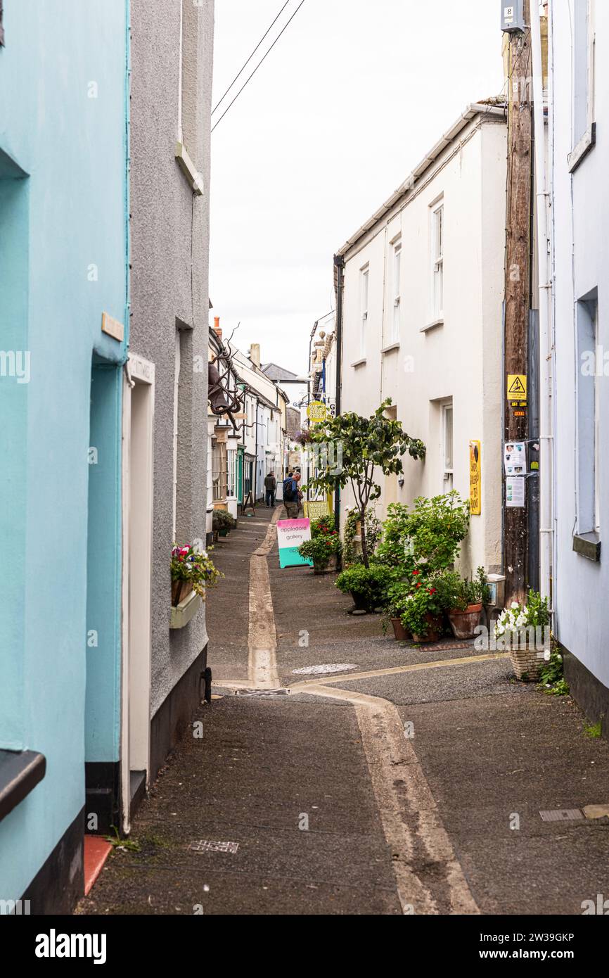 Appledore Village, Appledore, Devon, Appledore Village, Devon, UK ...