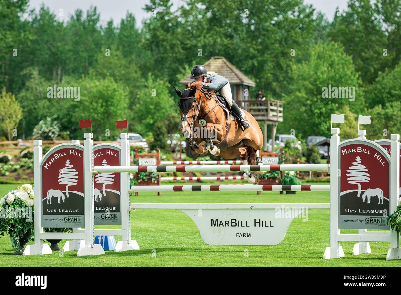 Jaydan Stettner of Canada competes at the 2023 Canadian Premier Horse ...