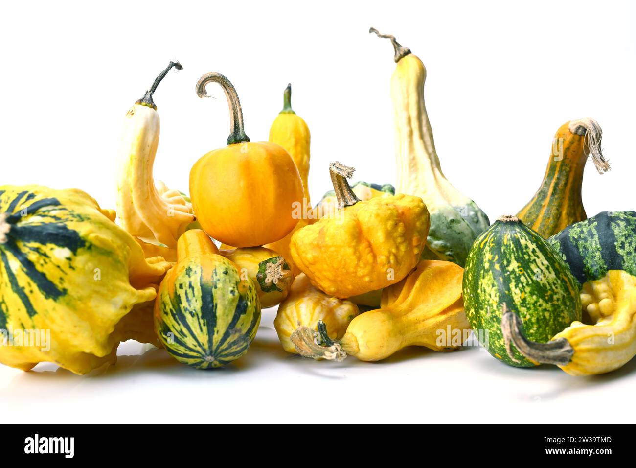 Cucurbitacine hi-res stock photography and images - Alamy