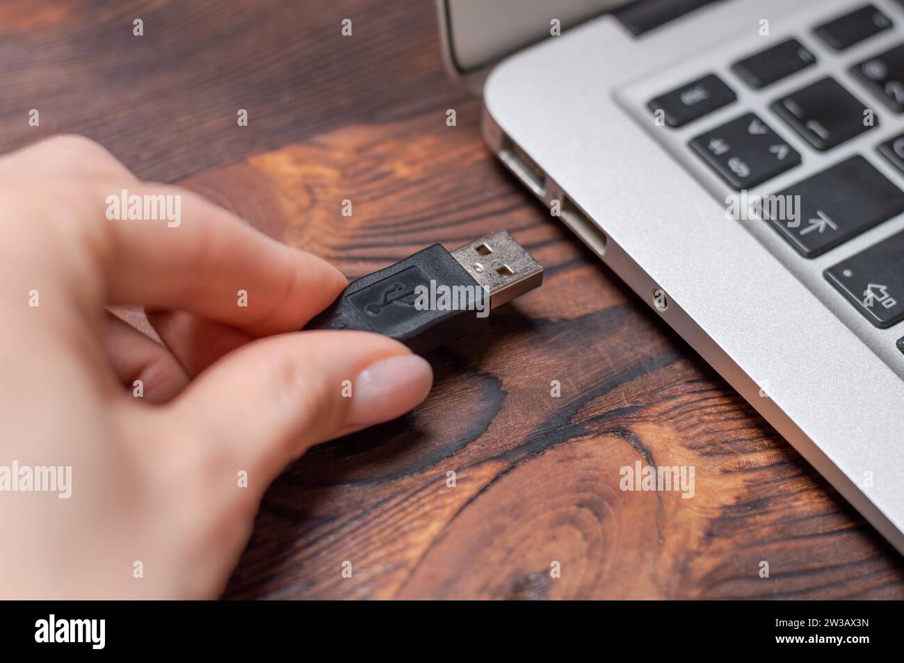 Image of a usb cable plugged into a laptop port. The concept of modern ...