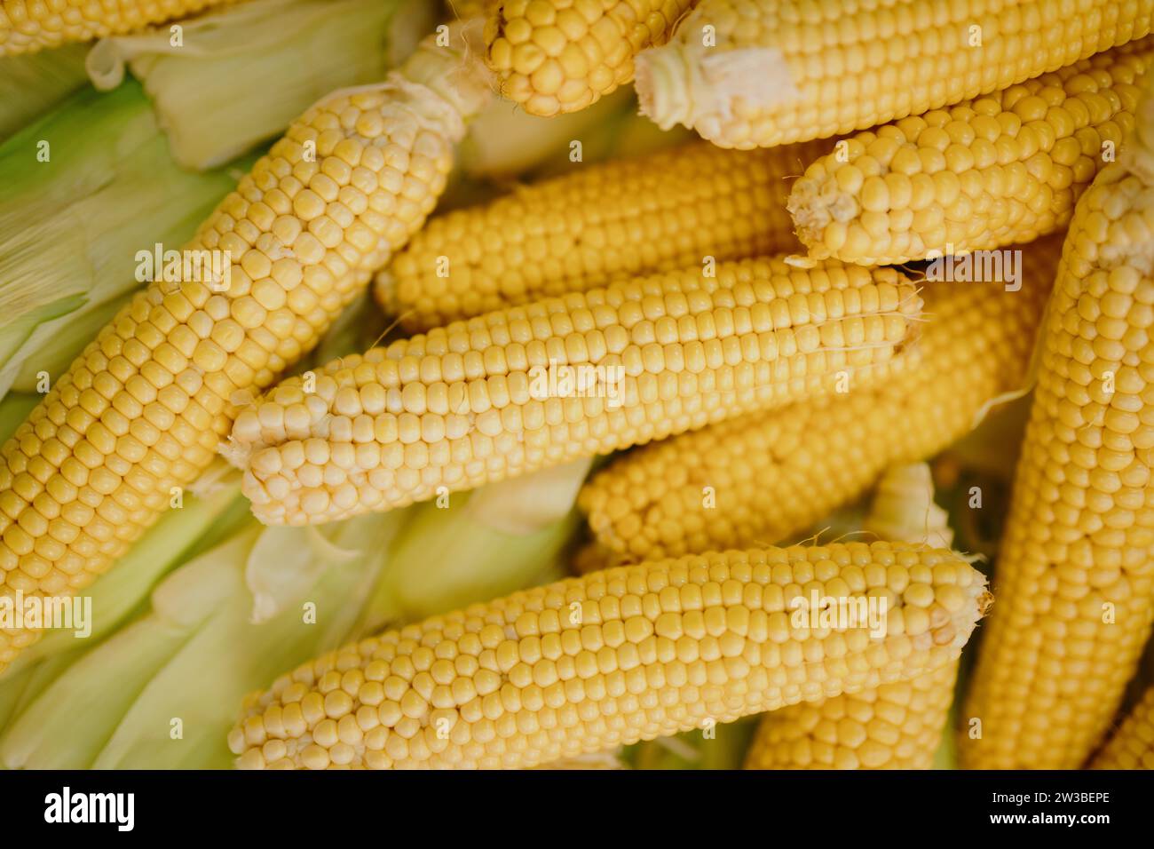 Sweetcorn cobs at a market Stock Photo - Alamy
