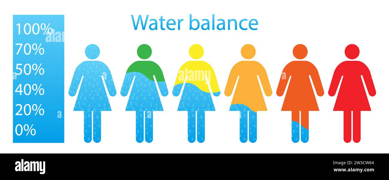 Water balance in a woman in different colors illustration. Needs ...