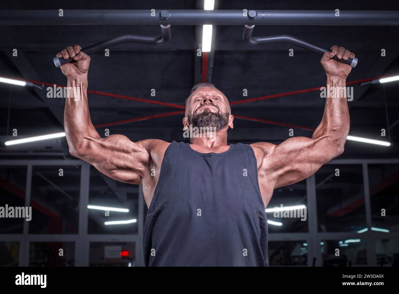 Image of a powerful athlete doing a pull-up in the gym. Back pumping ...