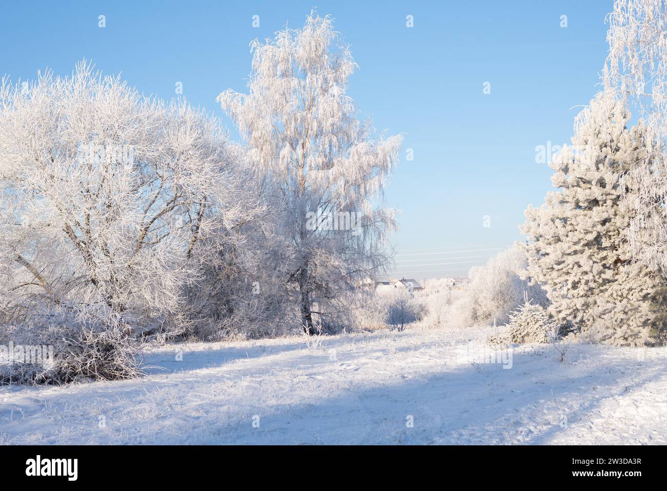 New wallpapers hi-res stock photography and images - Alamy