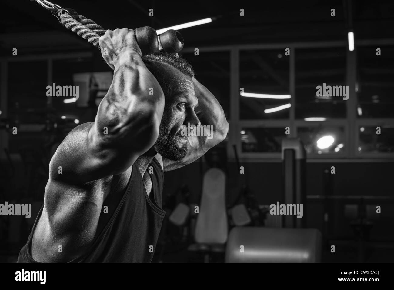 Image of a powerful athlete exercising in a crossover at the gym ...