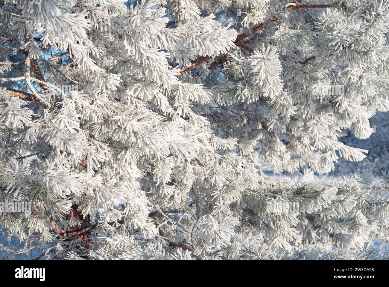 Season wallpapers hi-res stock photography and images - Alamy