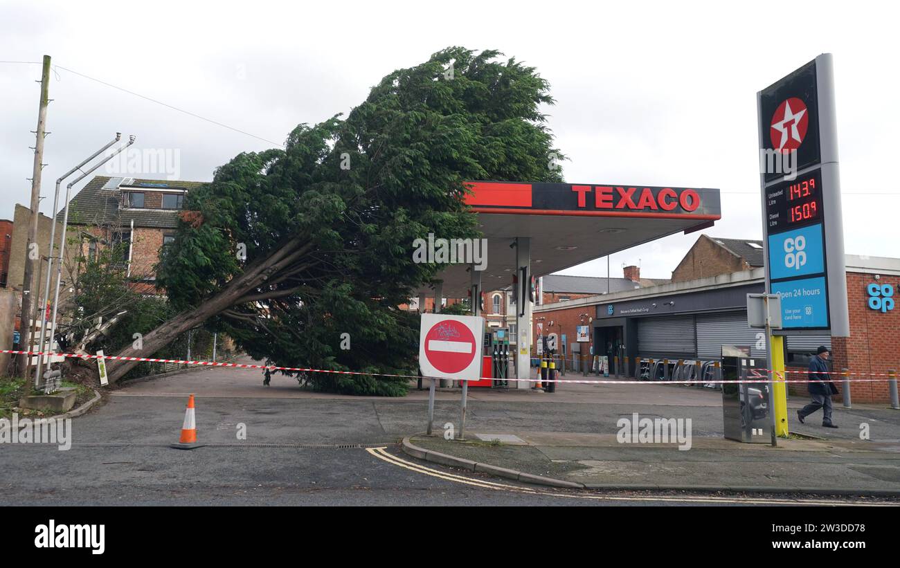A tree fallen onto the roof of a Texaco petrol station in Derby a ...