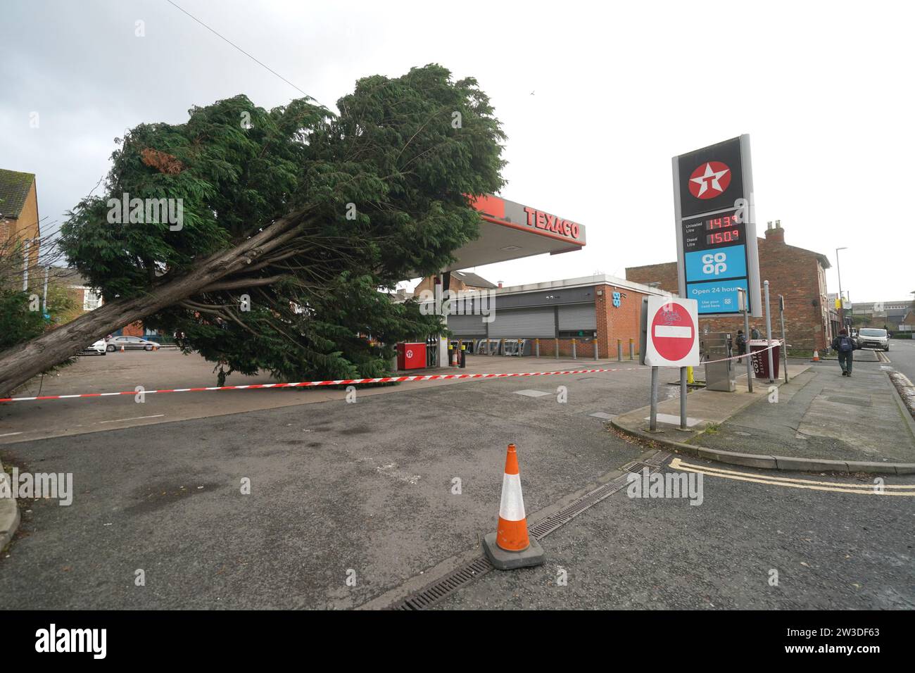 A tree fallen onto the roof of a Texaco petrol station in Derby a ...