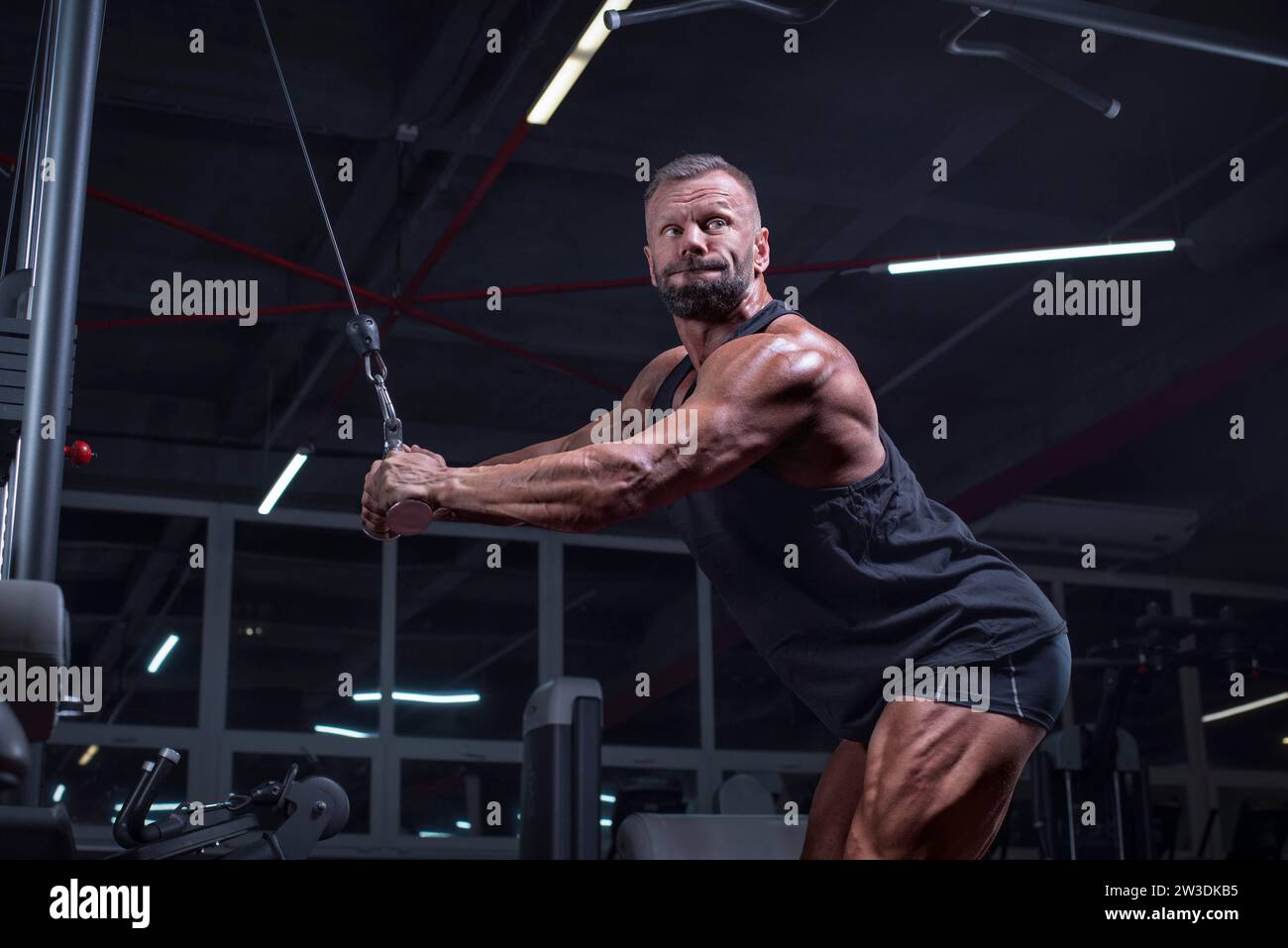 Image of a powerful athlete exercising in a crossover at the gym ...