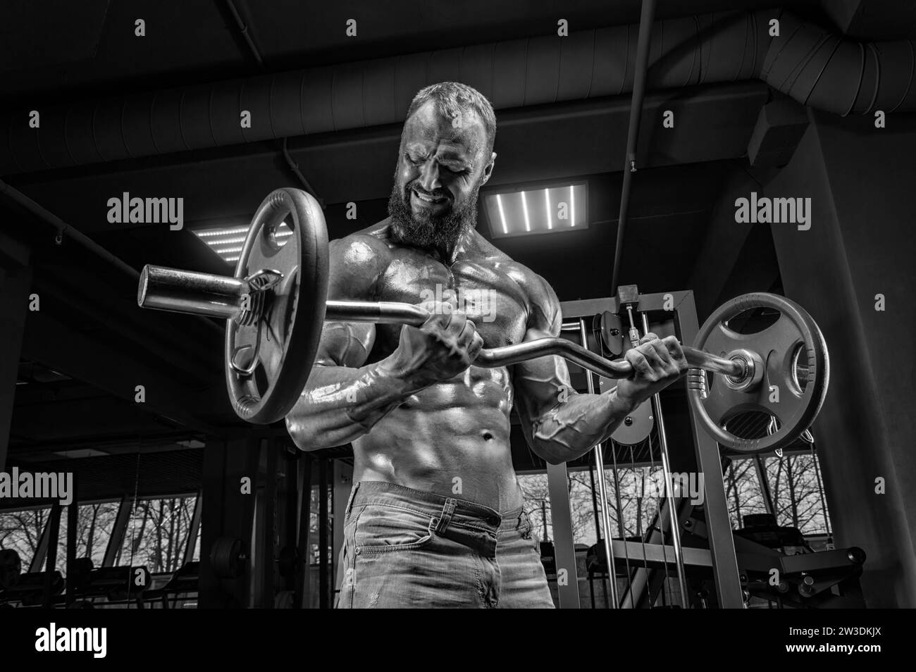 Powerful bodybuilder posing in the gym with a barbell. Bodybuilding ...