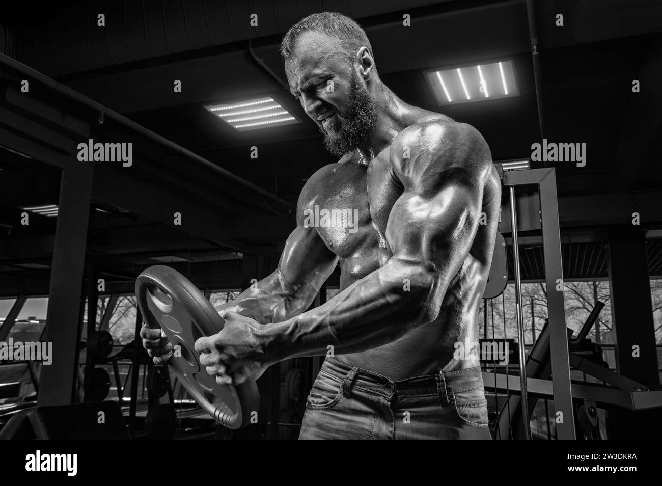 Professional athlete trains with a barbell disc in the gym ...