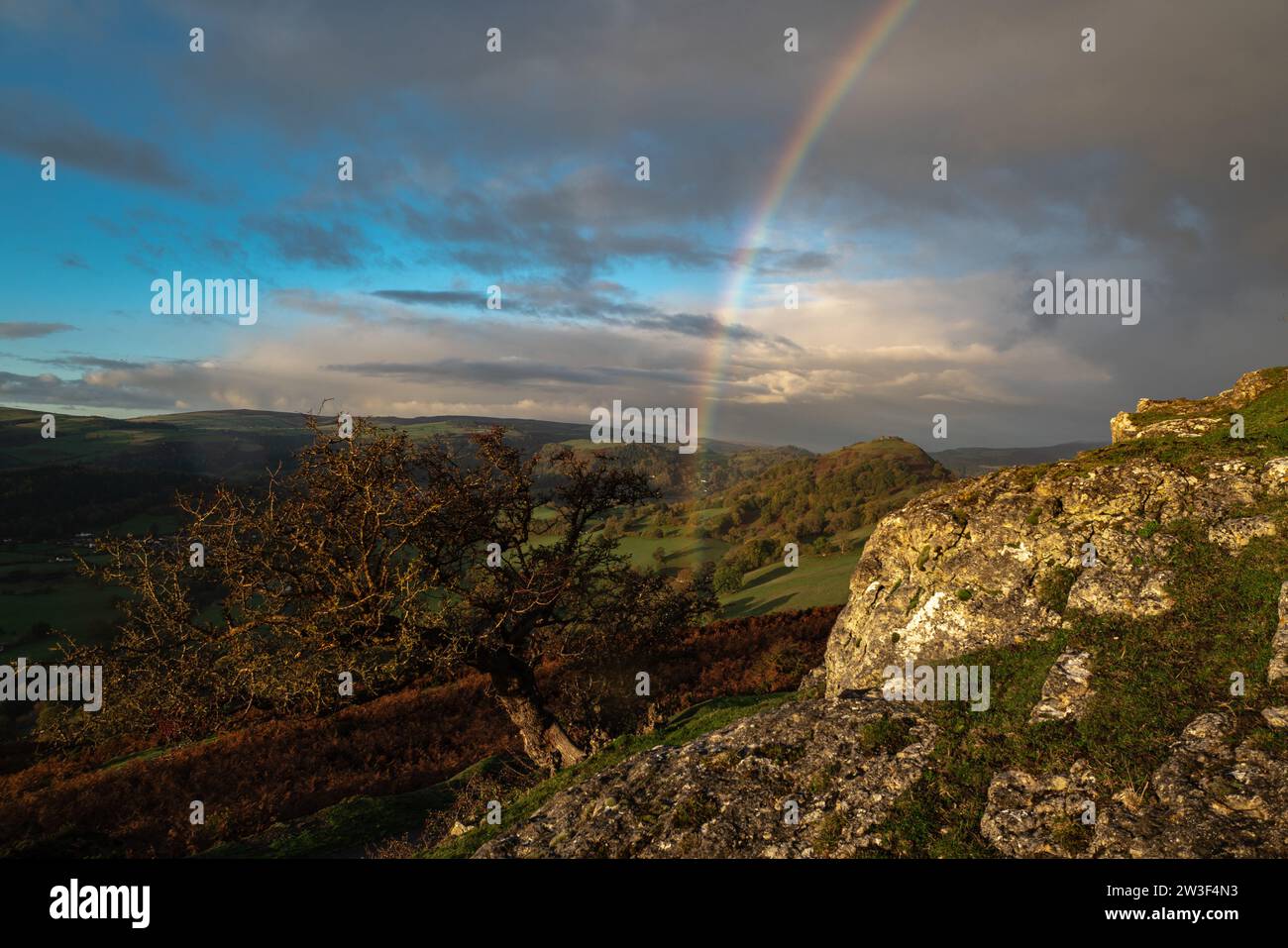 Dinas powys hillfort hi-res stock photography and images - Alamy