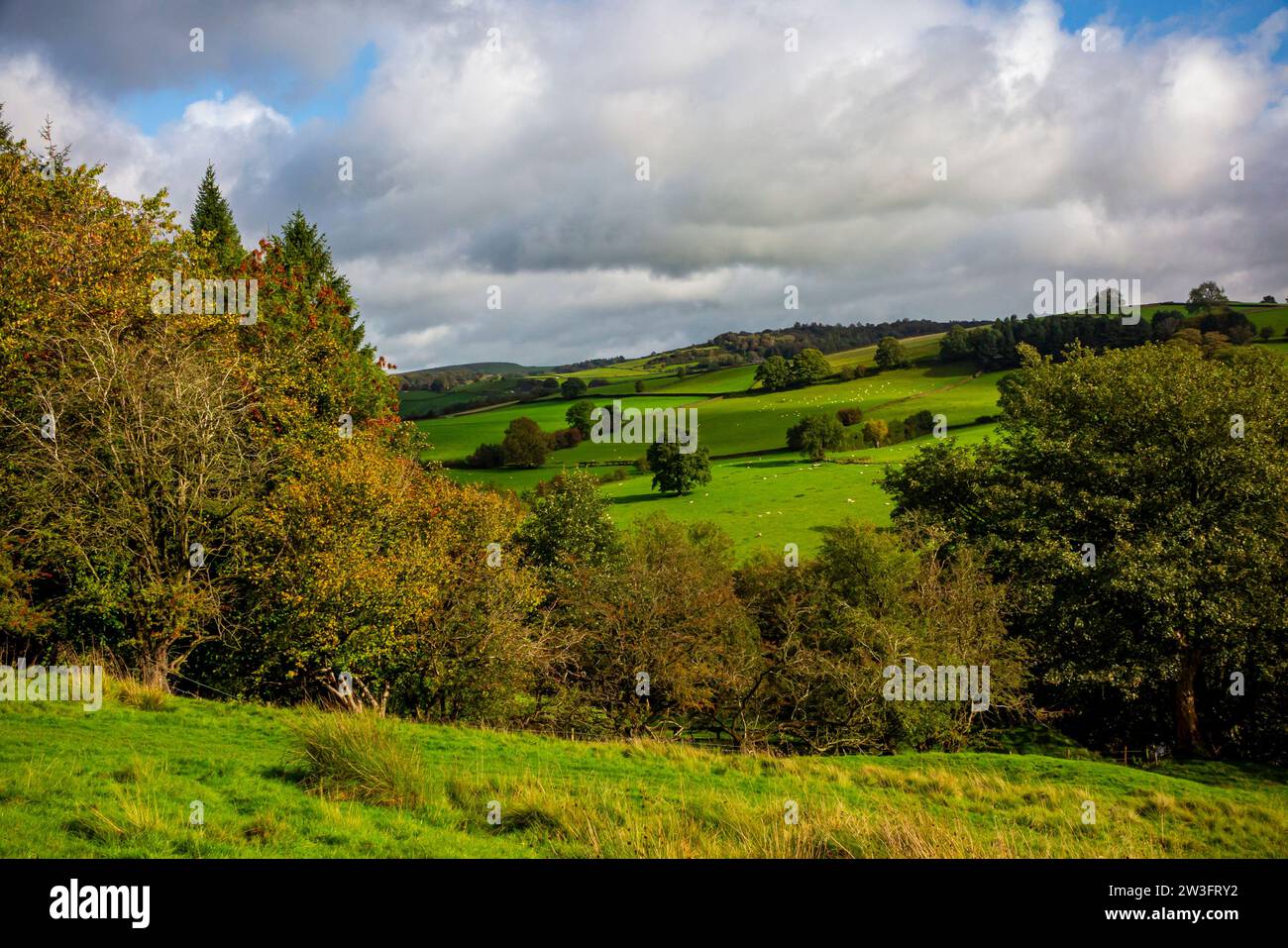 View over fields and farmland near Bollington in Cheshire England UK on ...