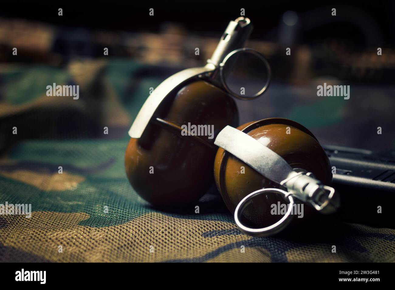 Two grenades lie on a camouflage background. The concept of military ...