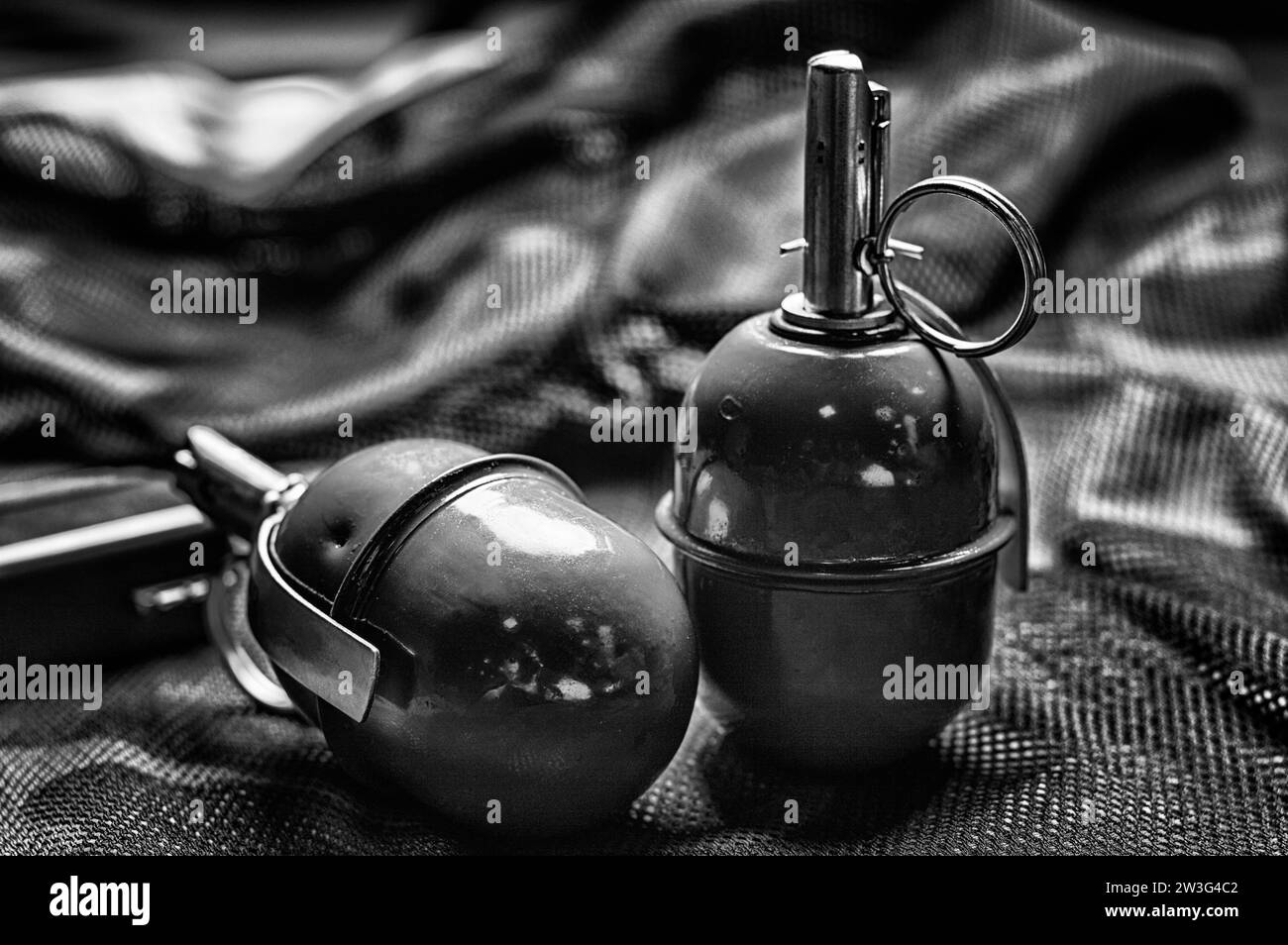 Two grenades lie on a camouflage background. The concept of military ...