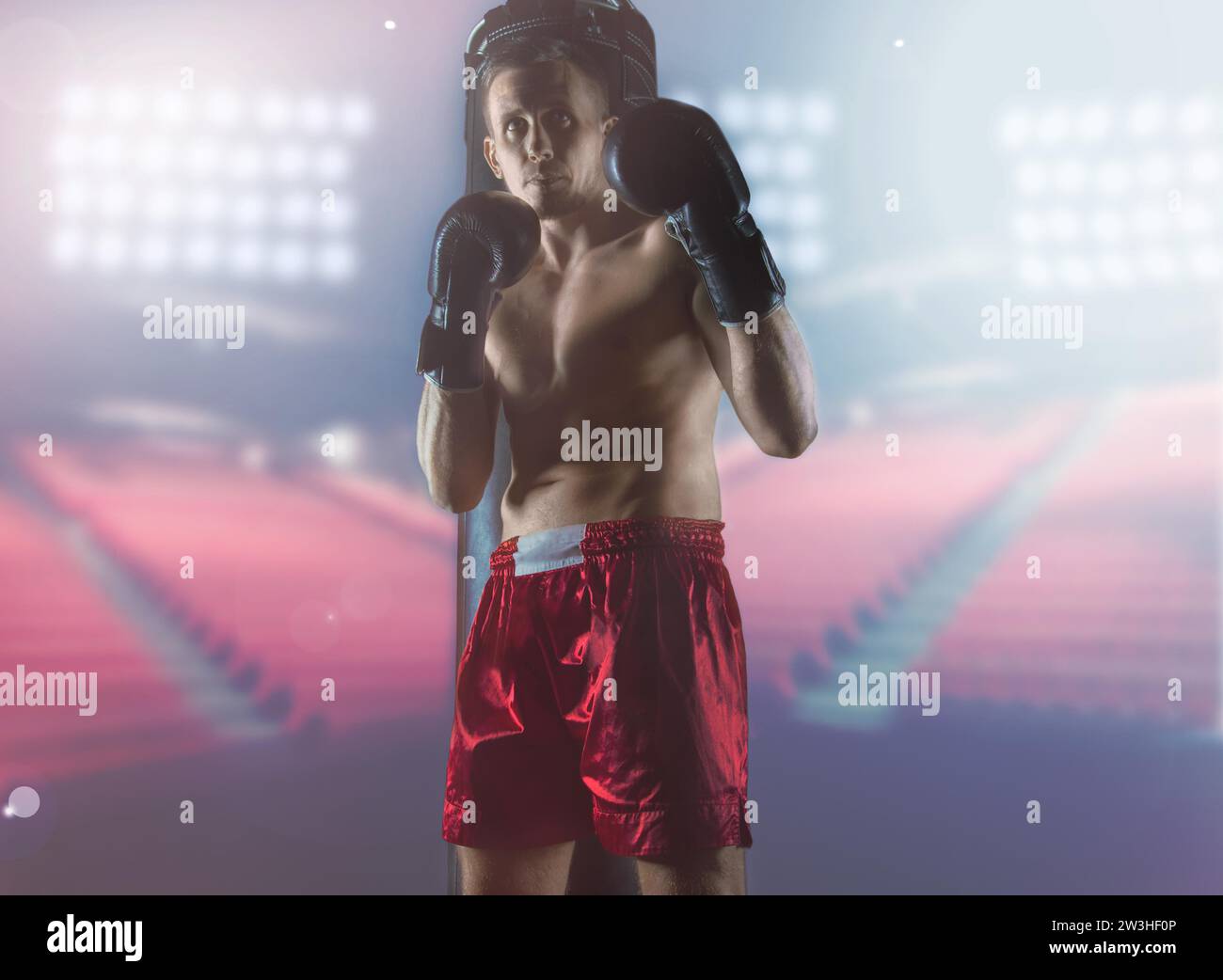 Professional boxer hi-res stock photography and images - Alamy