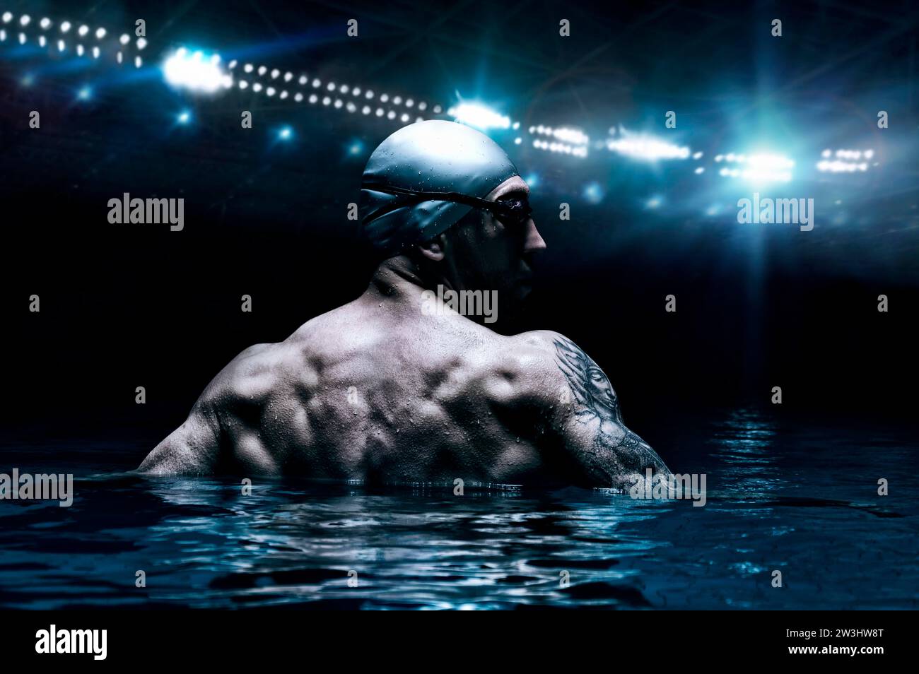 Portrait of a swimmer on the background of a sports arena. The concept ...