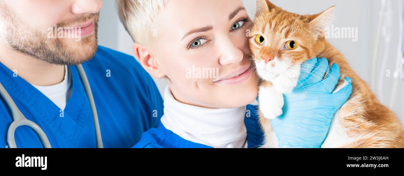 Portrait of a male doctor and a female nurse with a cat in her hands ...