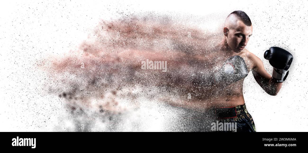 Portrait of a boxer of mixed martial arts. The concept of sports, mma ...