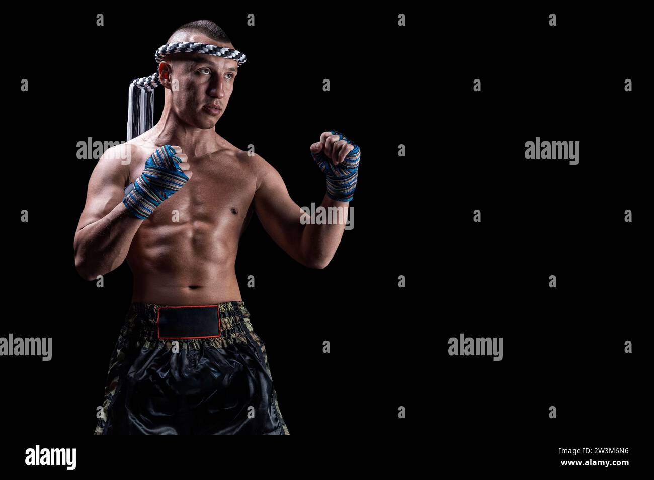 Portrait of a boxer of mixed martial arts. The concept of sports, mma ...