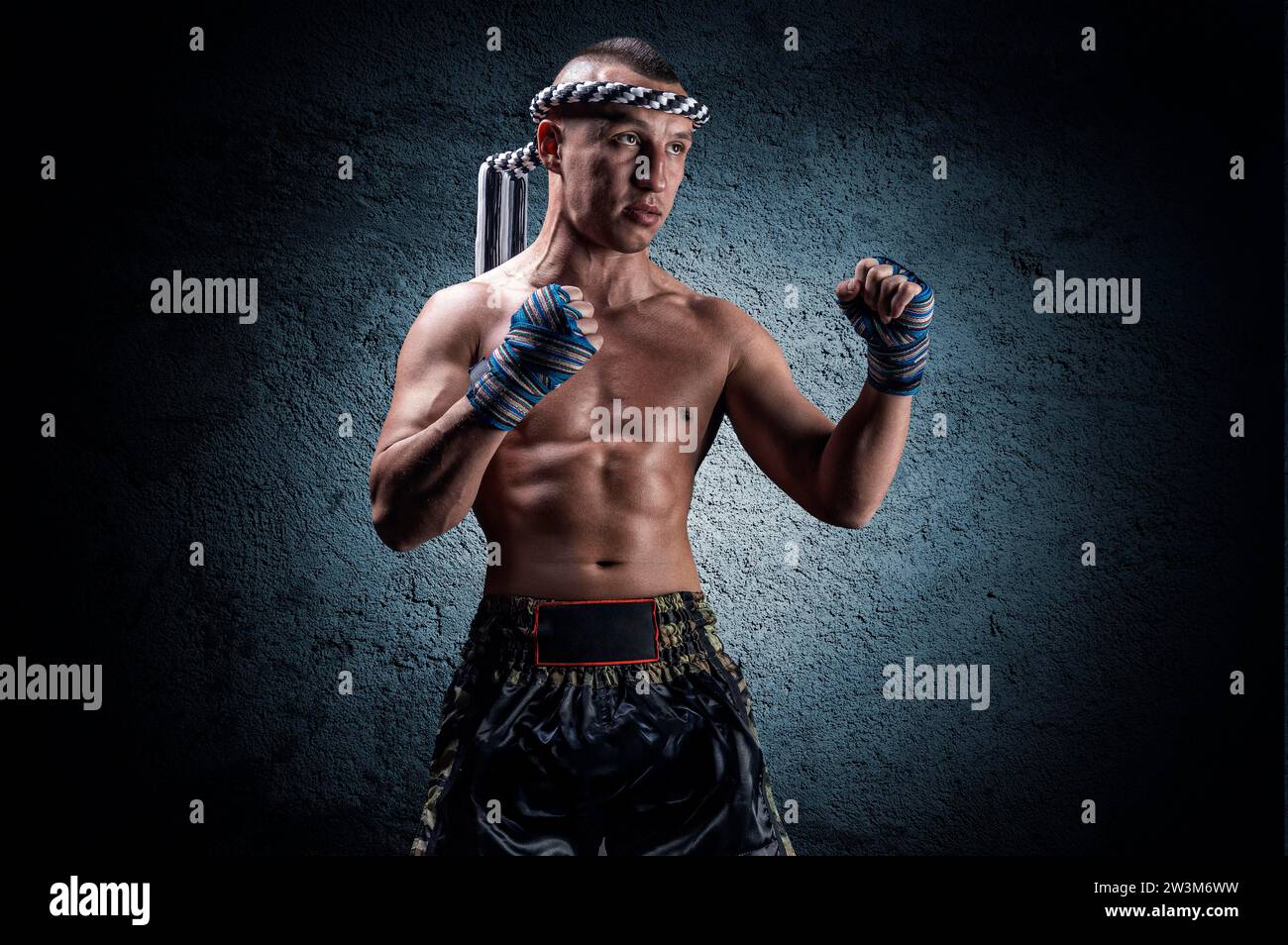 Portrait of a boxer of mixed martial arts. The concept of sports, mma ...