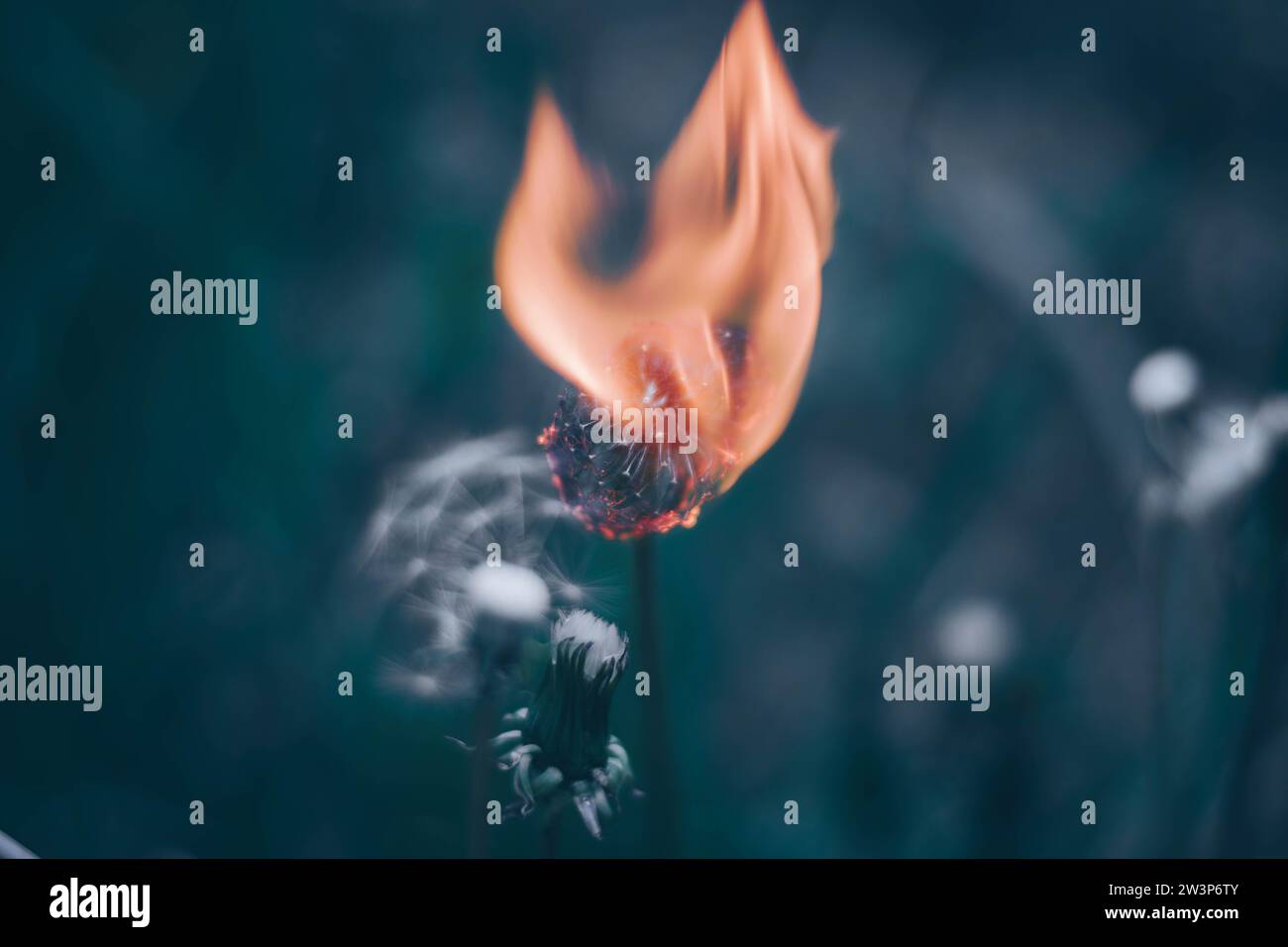 the pictures mainly show nature Stock Photo - Alamy