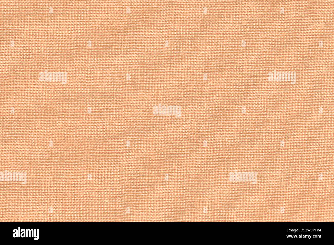 Color of the year 2024 peach fuzz. Light coral background from textile ...